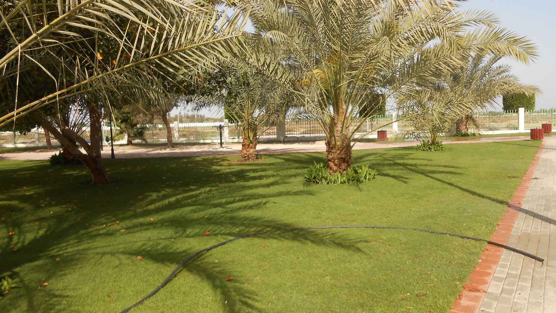Al Bahia: lifestyle, property, infrastructure & attractions | Emirates ...